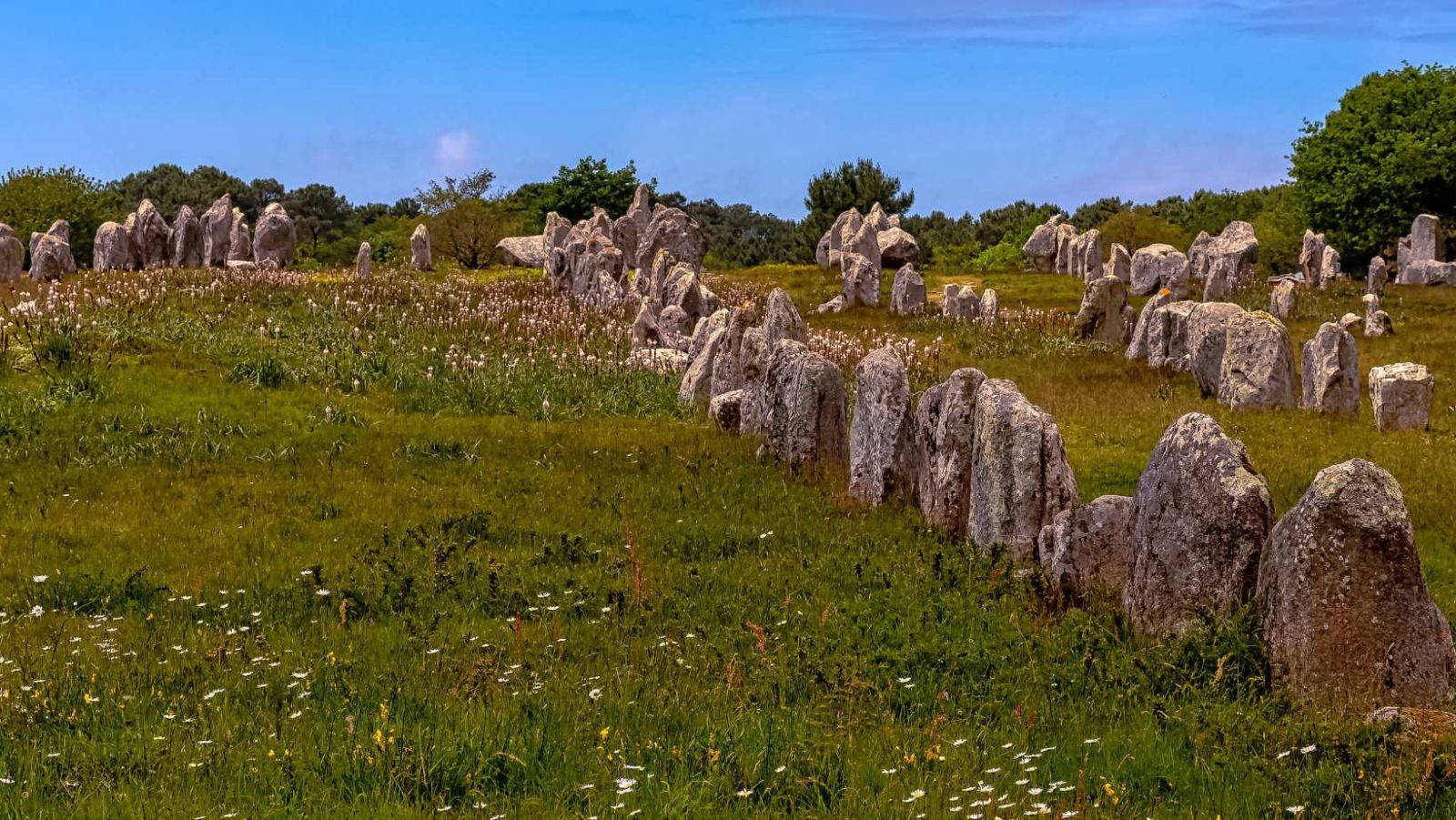 Carnac : 3000 menhirs et 7000 ans d'histoire sur 42 km²